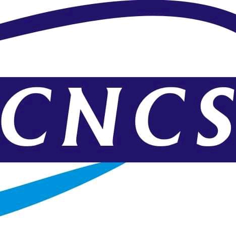 Cncs Logo America's 250th – Avon Free Public Library